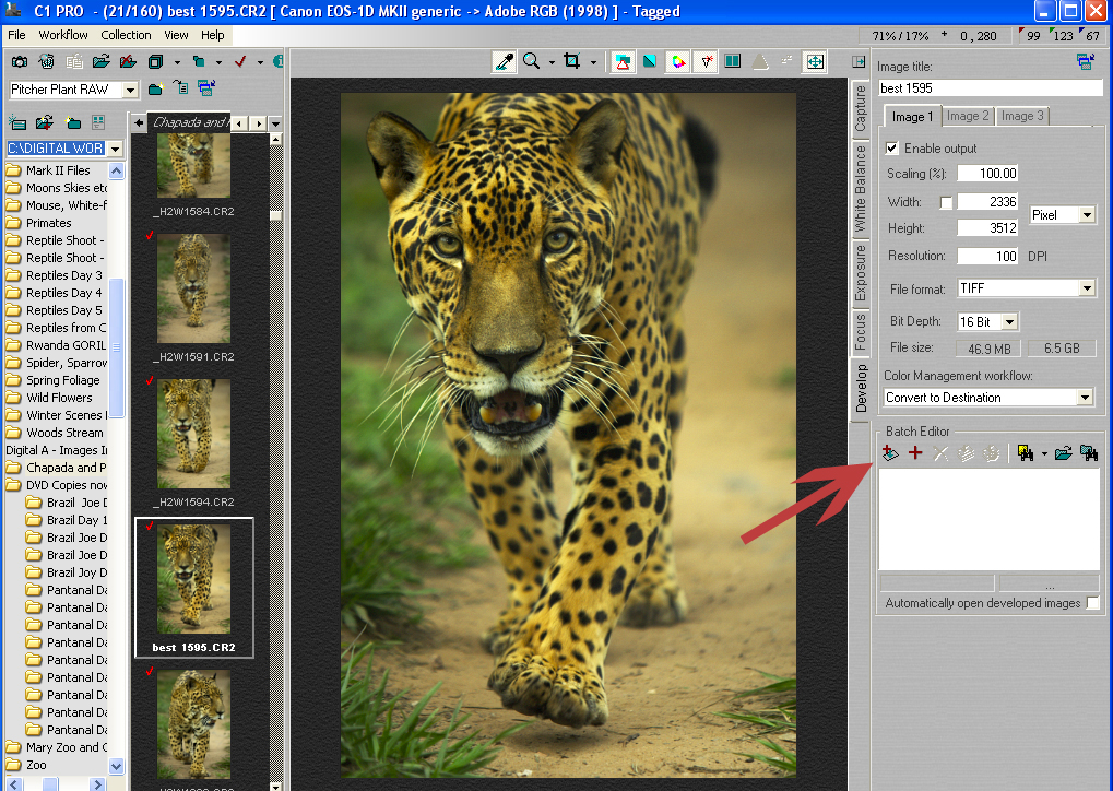 Editing in Capture One RAW Conversion Program